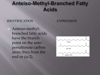 Odd and branched chain fatty acid | PPTX