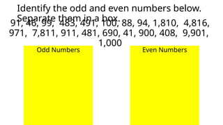 odd even in mathematics grade 3 ppt.pptx