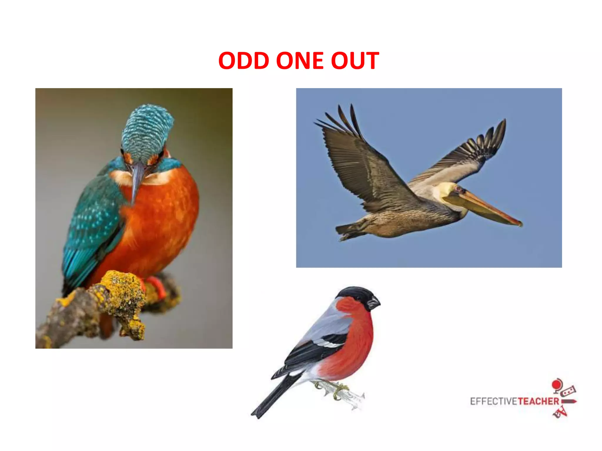 Odd one out ppt | PPTX