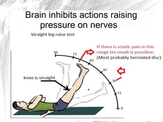 Walking disorders, muscle nerve interaction | PPT