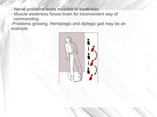 Walking disorders, muscle nerve interaction | PPT