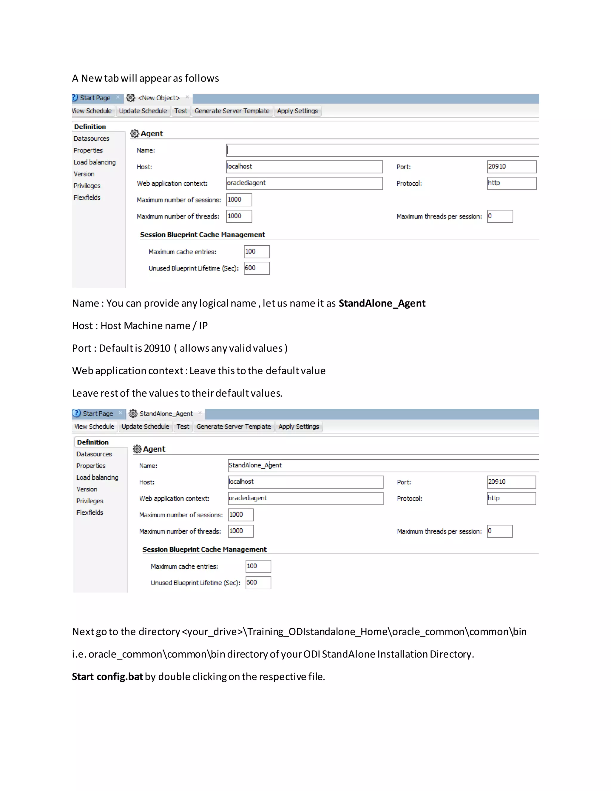 Odi 12 Cagentconfiguration Pdf 2454