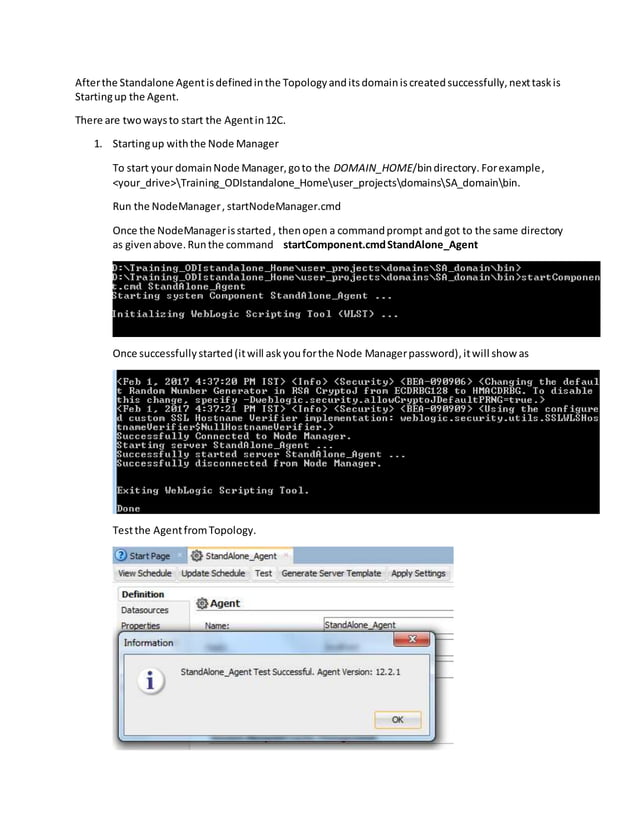 Odi 12 c_agent_configuration | DOCX | Cloud Computing | Internet