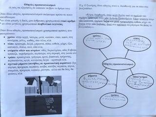 Οδηγίες προσανατολισμού.pdf