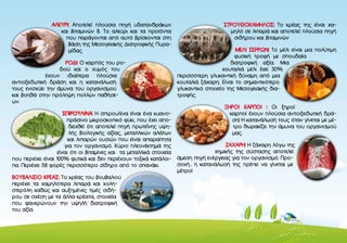 Οδηγός μεσογειακής διατροφής | PDF
