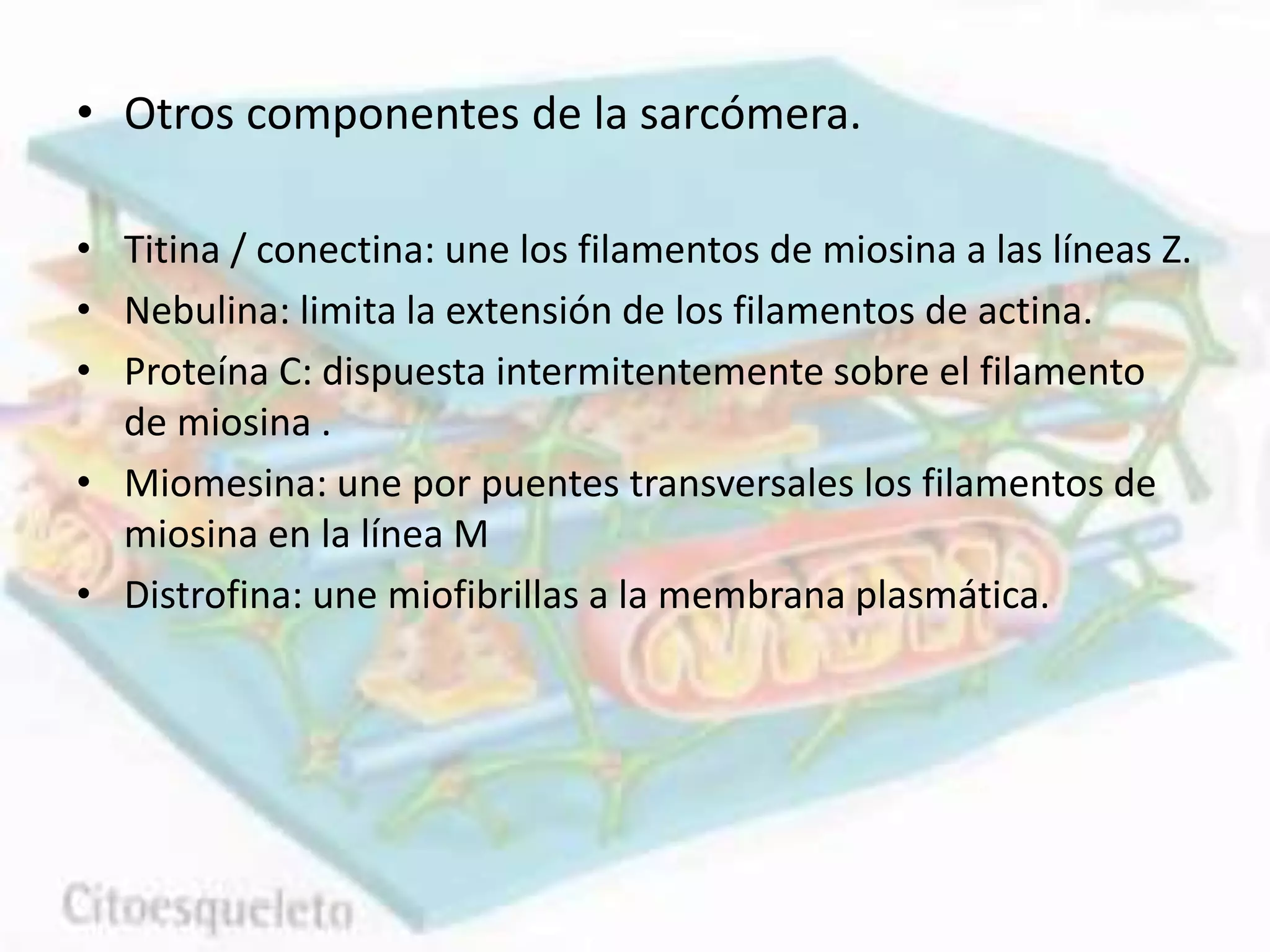 Citoesqueleto y movilidad celular | PPTX