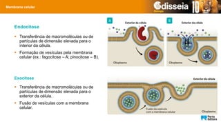 Odis10 ppt membrana_celular | PPTX