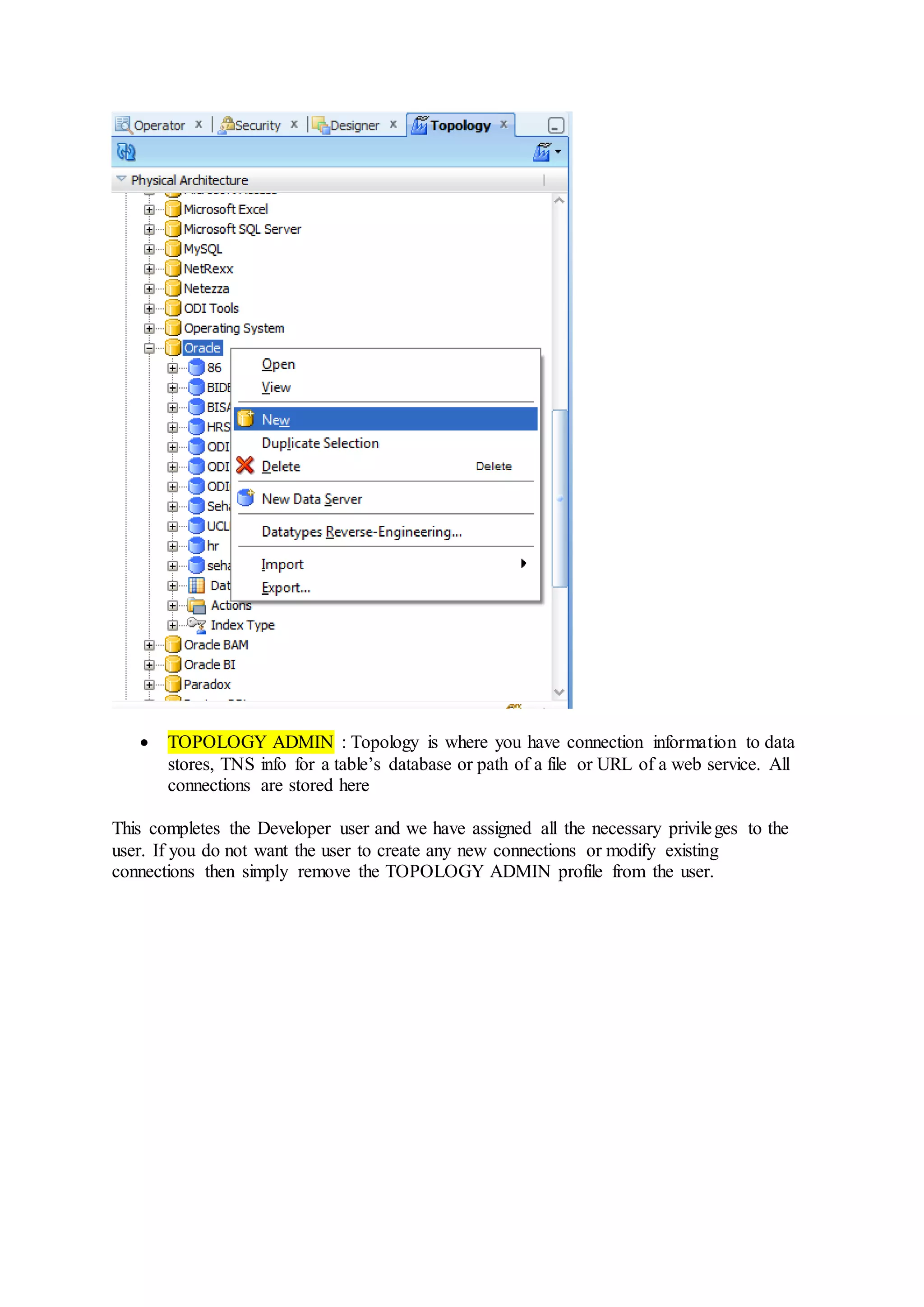 ODI User and Security | DOCX