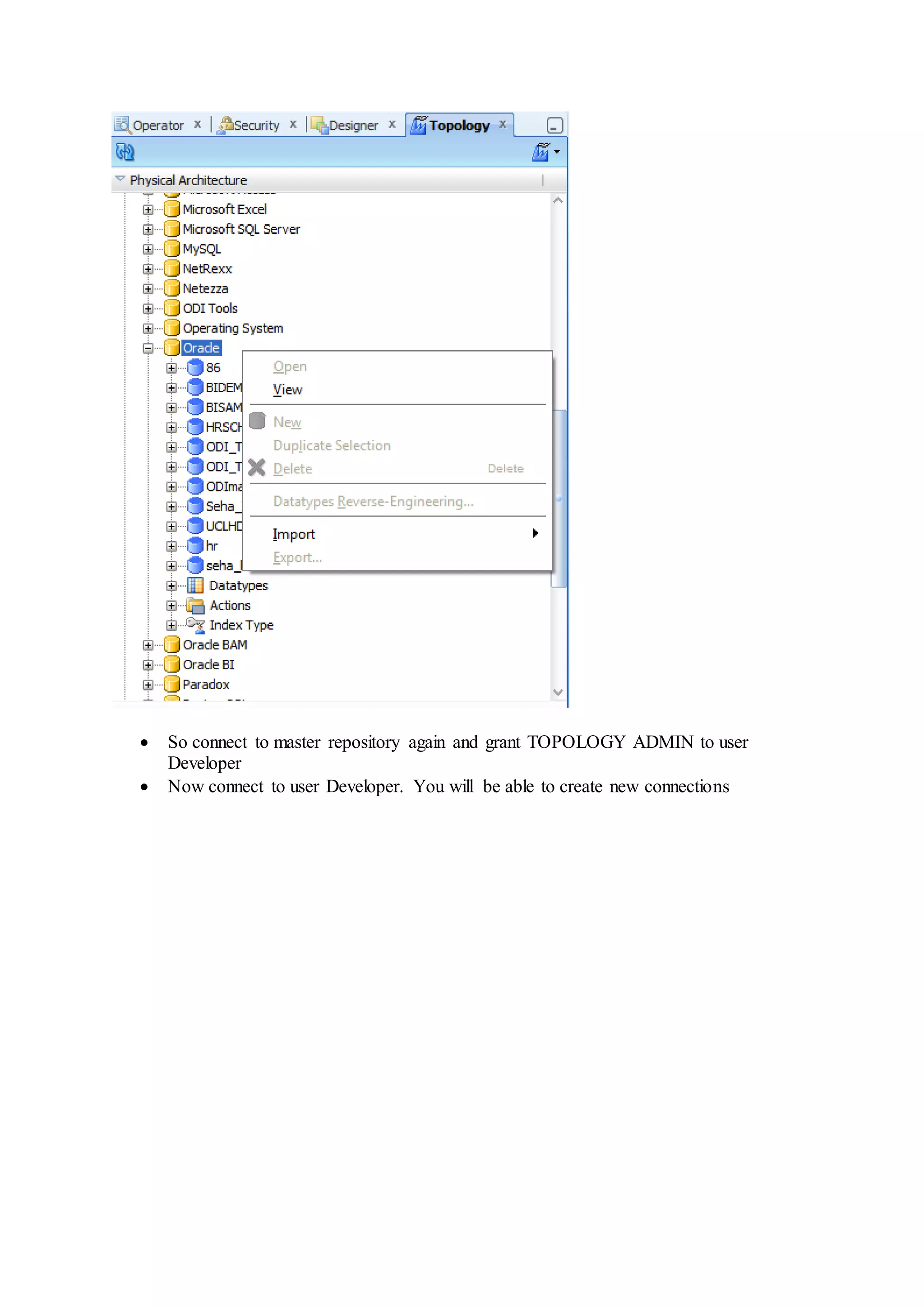 ODI User and Security | DOCX