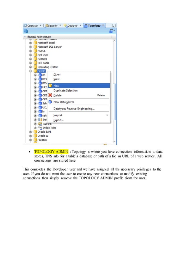 ODI User and Security | DOCX