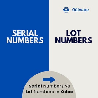 Serial Numbers vs Lot Numbers in Odoo - What's the Difference?.pdf