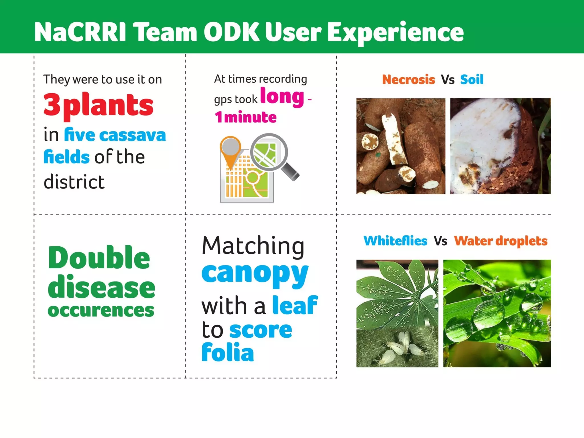 Odk survey presentation | PPT