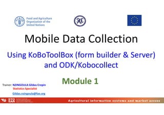 Training course on Mobile Data Collection using KoBoToolBox (form builder & Server) and ODK ...