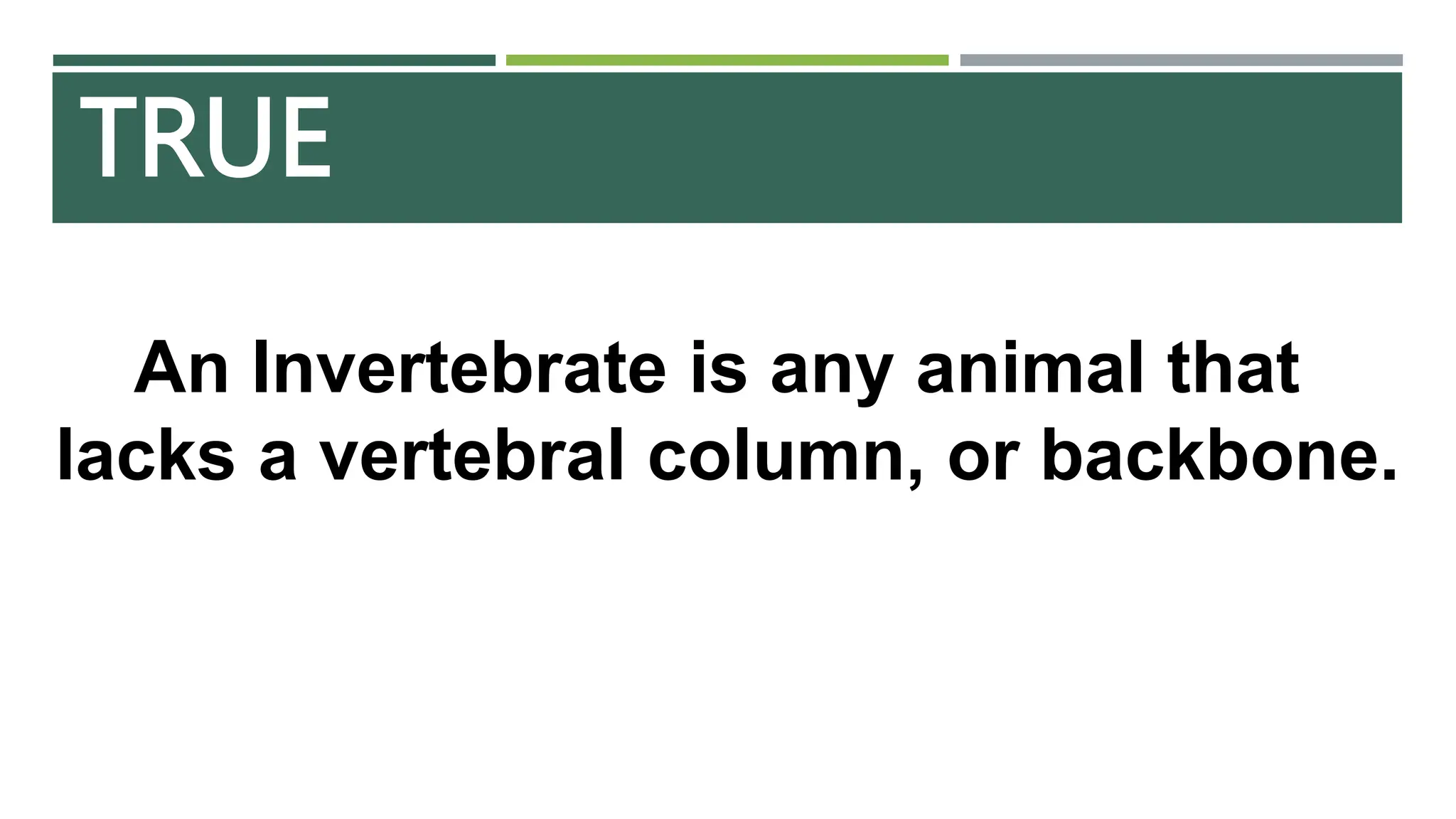 Invertebrates review questions Invertebrates review questions | PPTX ...