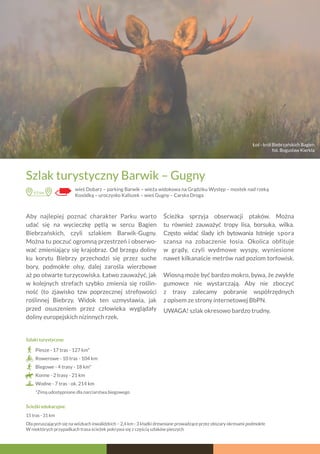 Biebrzański Park Narodowy- ptaki, owady, płazy i rośliny | PDF