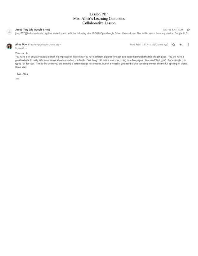 Collaborative Lesson Plan | PDF