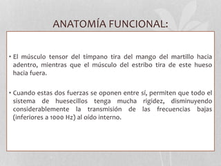 Oído medio anatomía y fisiología | PPTX