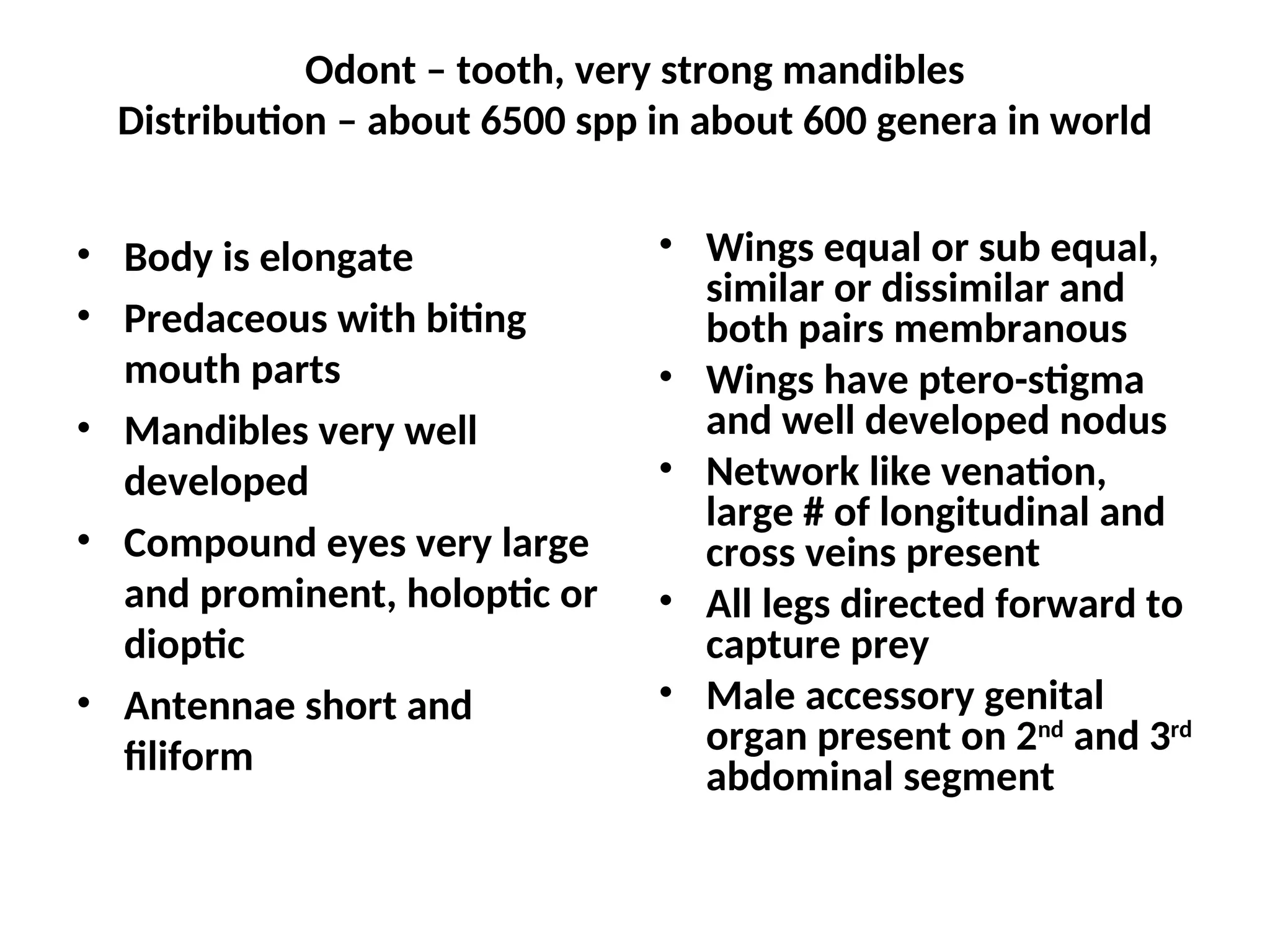 Information about odonata with figures.ppt