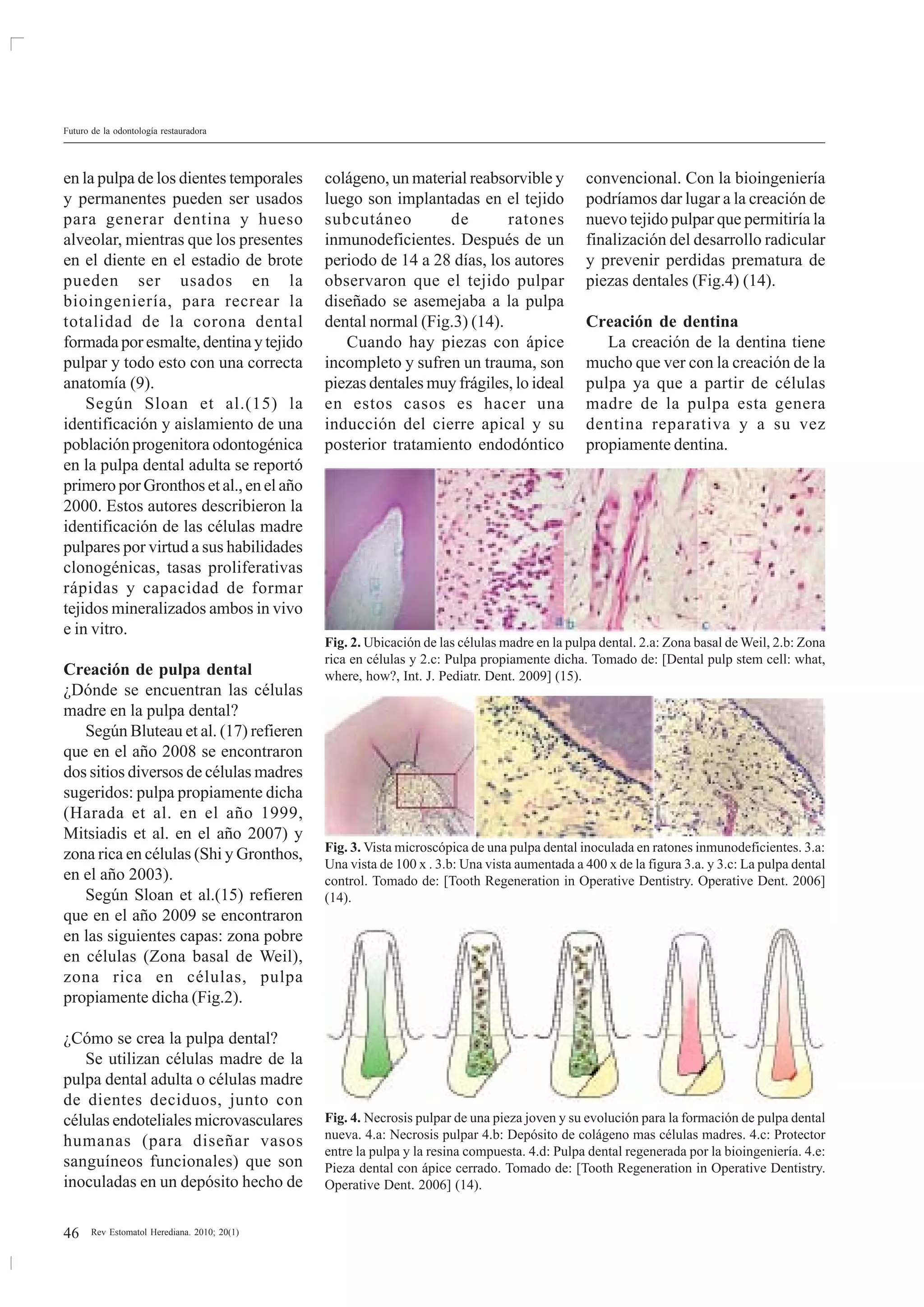 Odonto | PDF