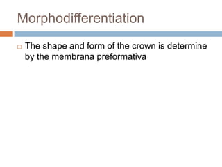 Odontogenesis | PPTX