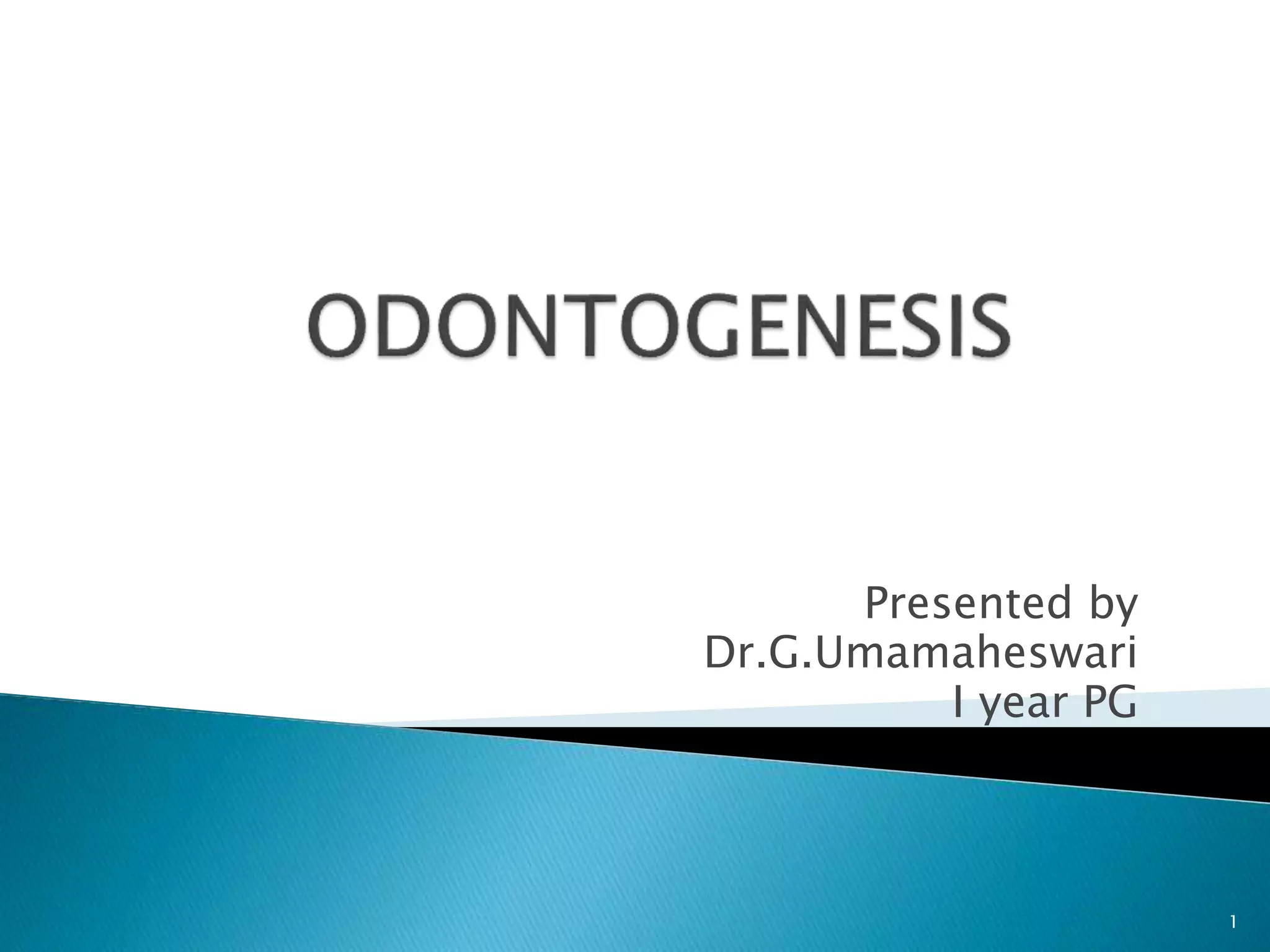 Odontogenesis | PPTX