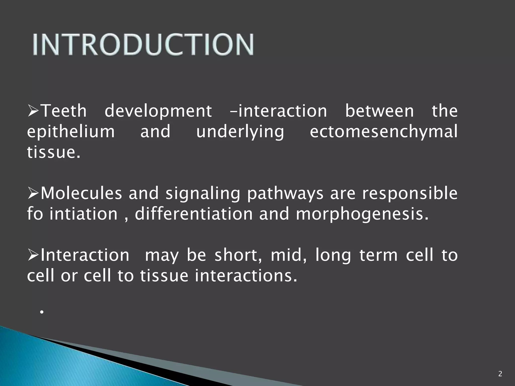 Odontogenesis | PPTX