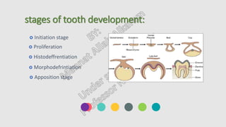 Odontogenesis and its related anomiles.pptx