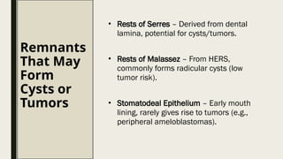 Odontogenesis, Odontogenic Cysts, and Odontogenic Tumors (2).pptx