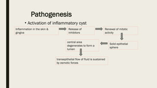Odontogenesis, Odontogenic Cysts, and Odontogenic Tumors (2).pptx