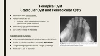 Odontogenesis, Odontogenic Cysts, and Odontogenic Tumors (2).pptx