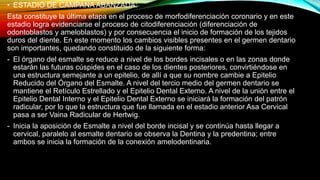 ODONTOGENESIS Y ALVEOLOGENESIS.pptx