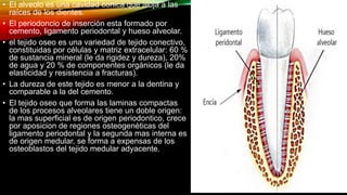 ODONTOGENESIS Y ALVEOLOGENESIS.pptx