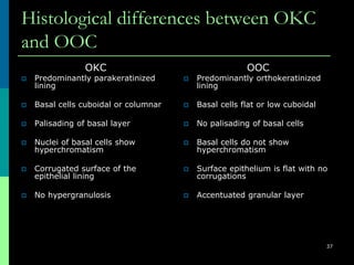 Odontogenic Cysts (1).pdf