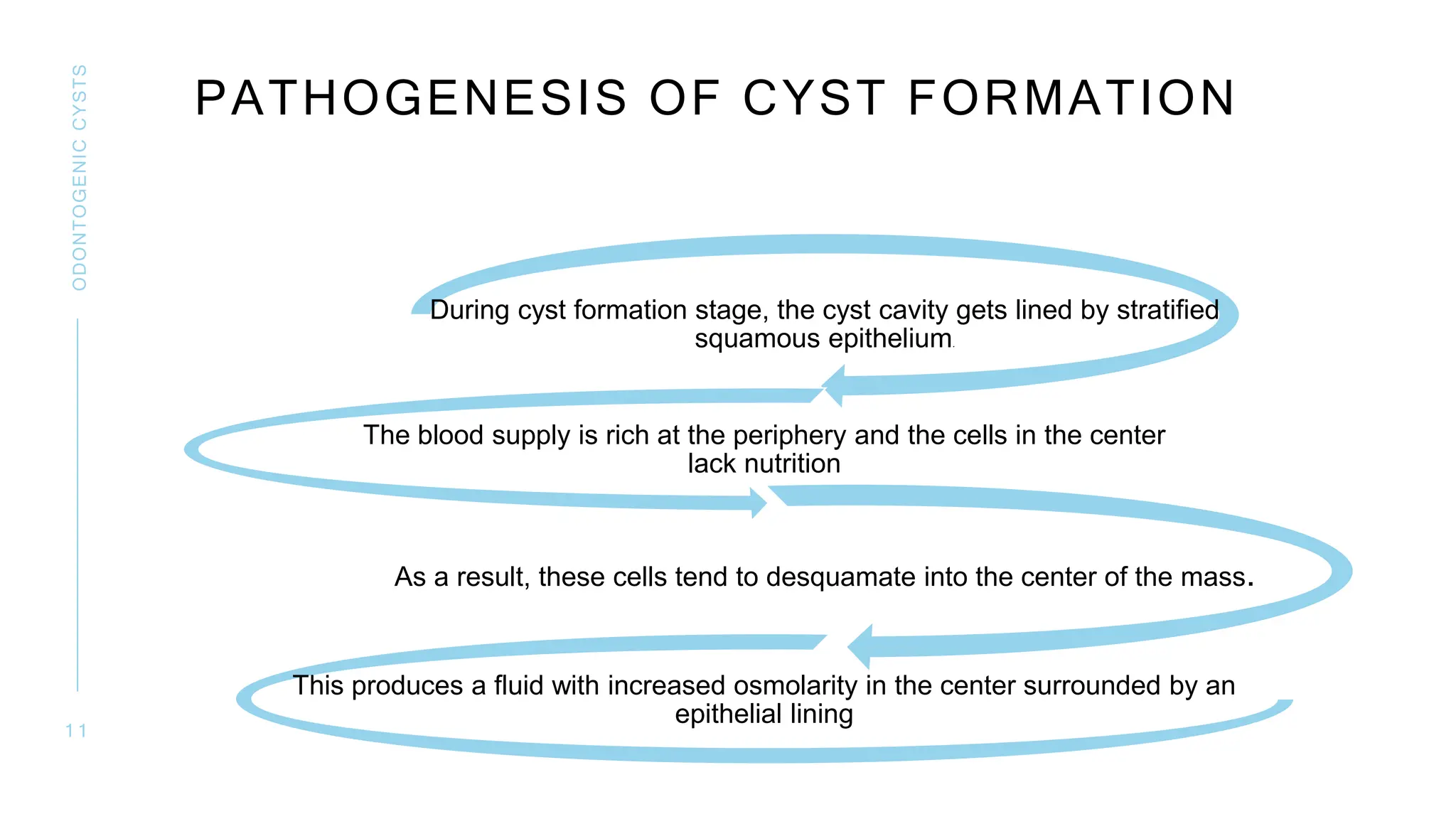ODONTOGENIC CYSTS OF THE JAWS AND THE MANAGEMENT | PPTX