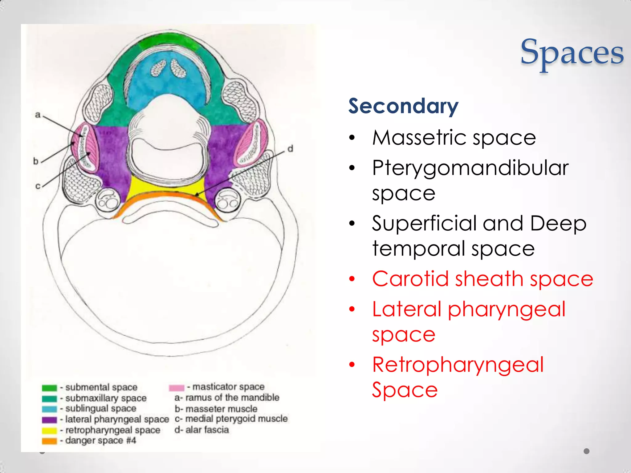 Odontogenic infections | PPTX