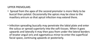 Odontogenic infections | PPTX