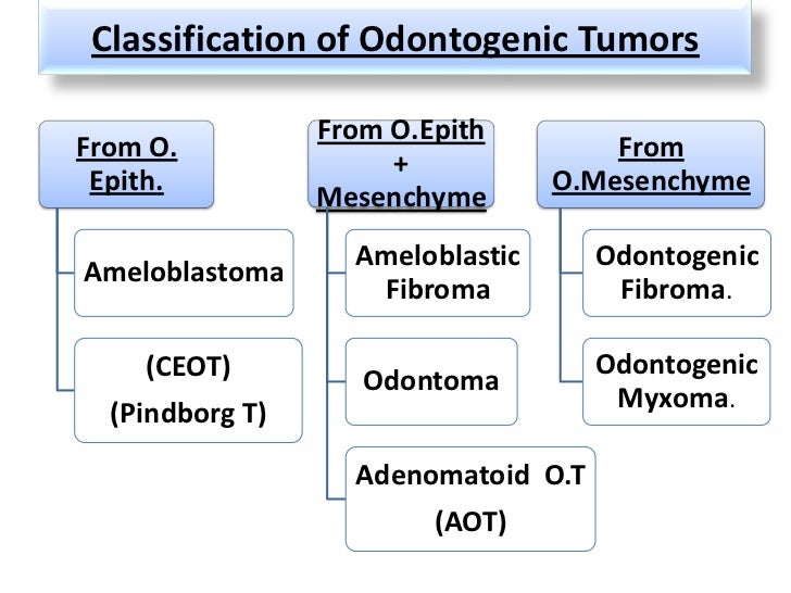 Odontogenic tumors