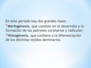 Odontogénesis | PPT