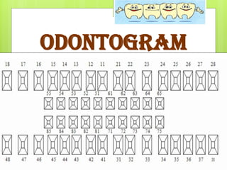 Rekam Medik Gigi " Odontogram " Permenkes NOMOR 269 / MENKES / PER / III / 2008 | PDF