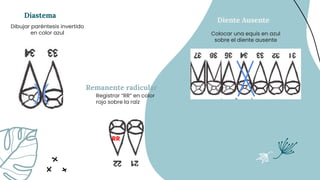 Odontograma | PDF