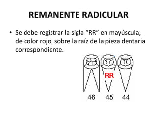 ODONTOGRAMA ayuda para llenado de odontograma | PDF