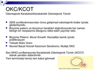 Odontojenik Keratokist (Keratokistik Odontojenik Tümör) | PPT
