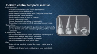 Odontologia infantil | PPTX