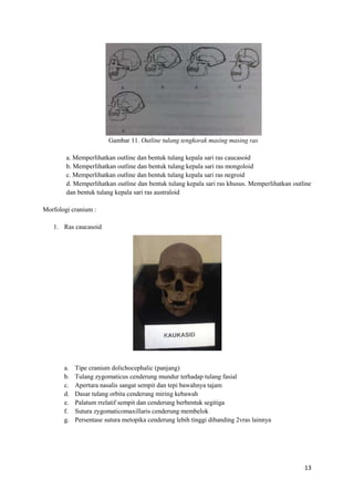 Odontologi Forensik Ras Korban | DOCX