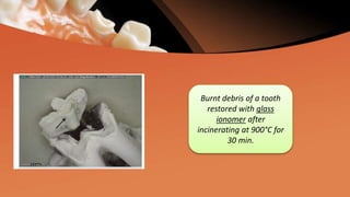 Forensic Odontology | PPTX