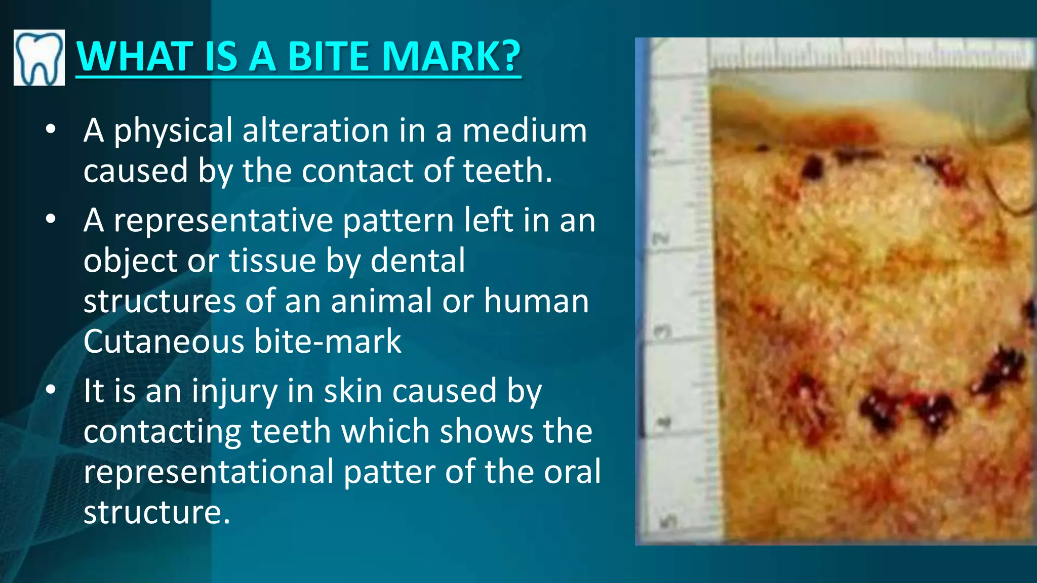 odontology presentation.pptx