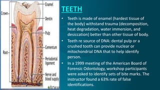 odontology presentation.pptx