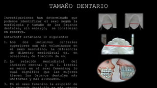 ODONTOMETRIA LEGAL Y FORENSE CLASE .pptx