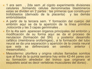Desarrollo orofacial | PPTX