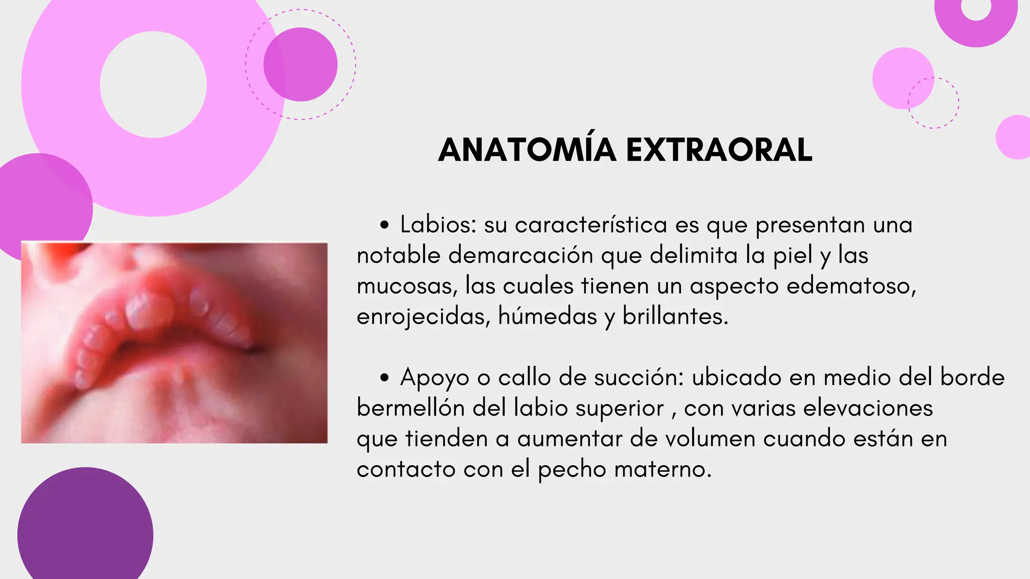Cavidad oral en niños, odontopediatria, anatomía | PDF